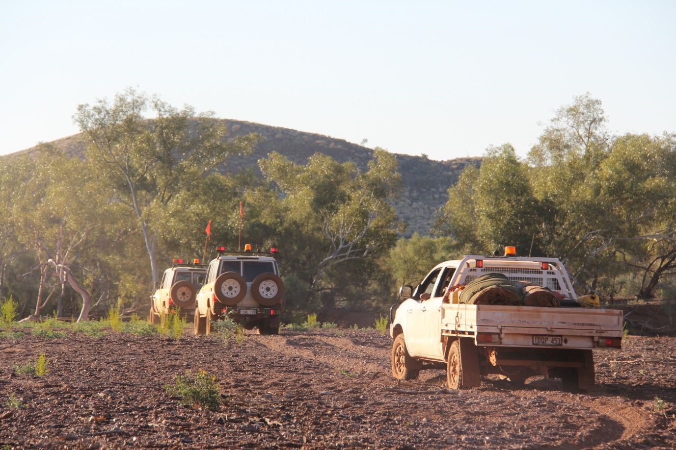 Back on Country with Palyku - Terra Rosa Consulting